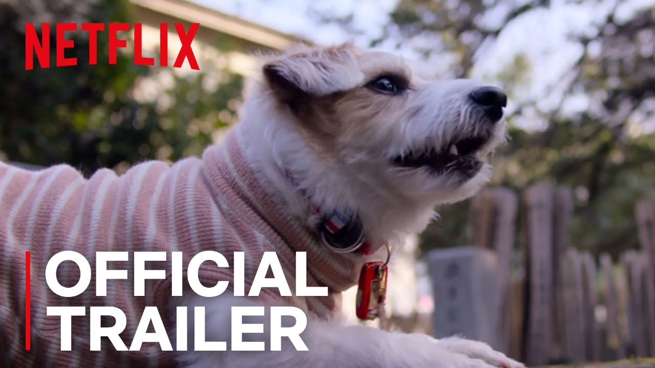 Dogs Official Trailer Hd Netflix Youtube