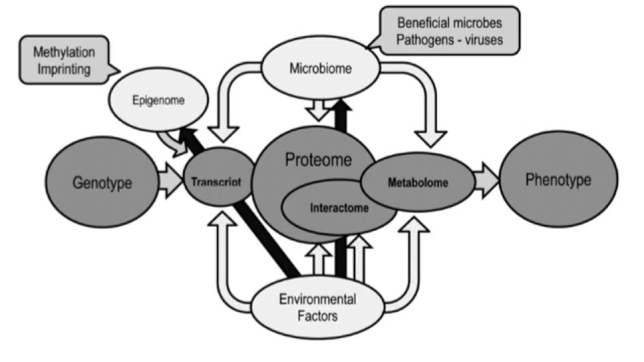 Introduction To Proteomics Youtube