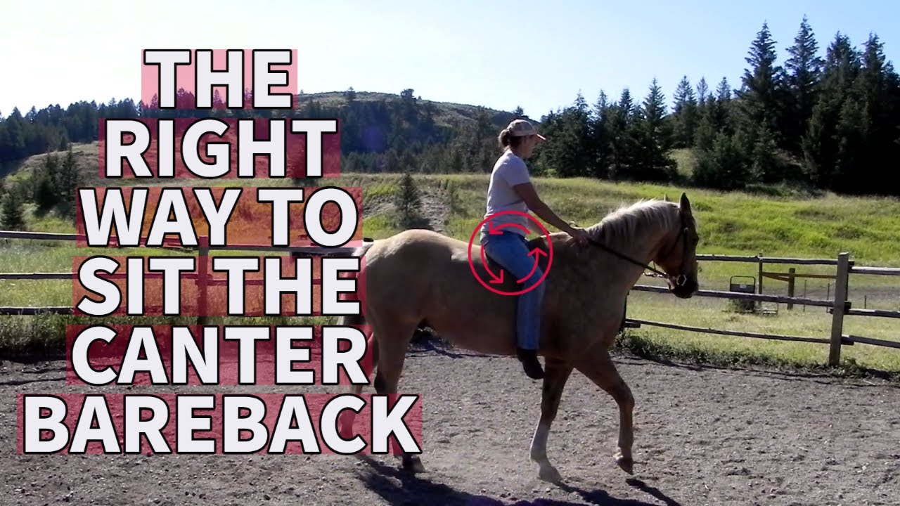 How To Ride Sit The Canter Bareback Explained In Detail Youtube