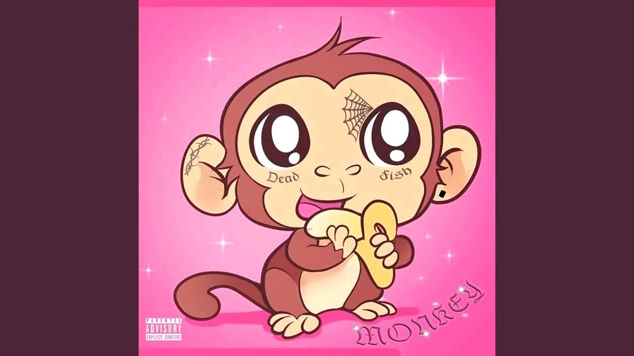 Monkey Youtube