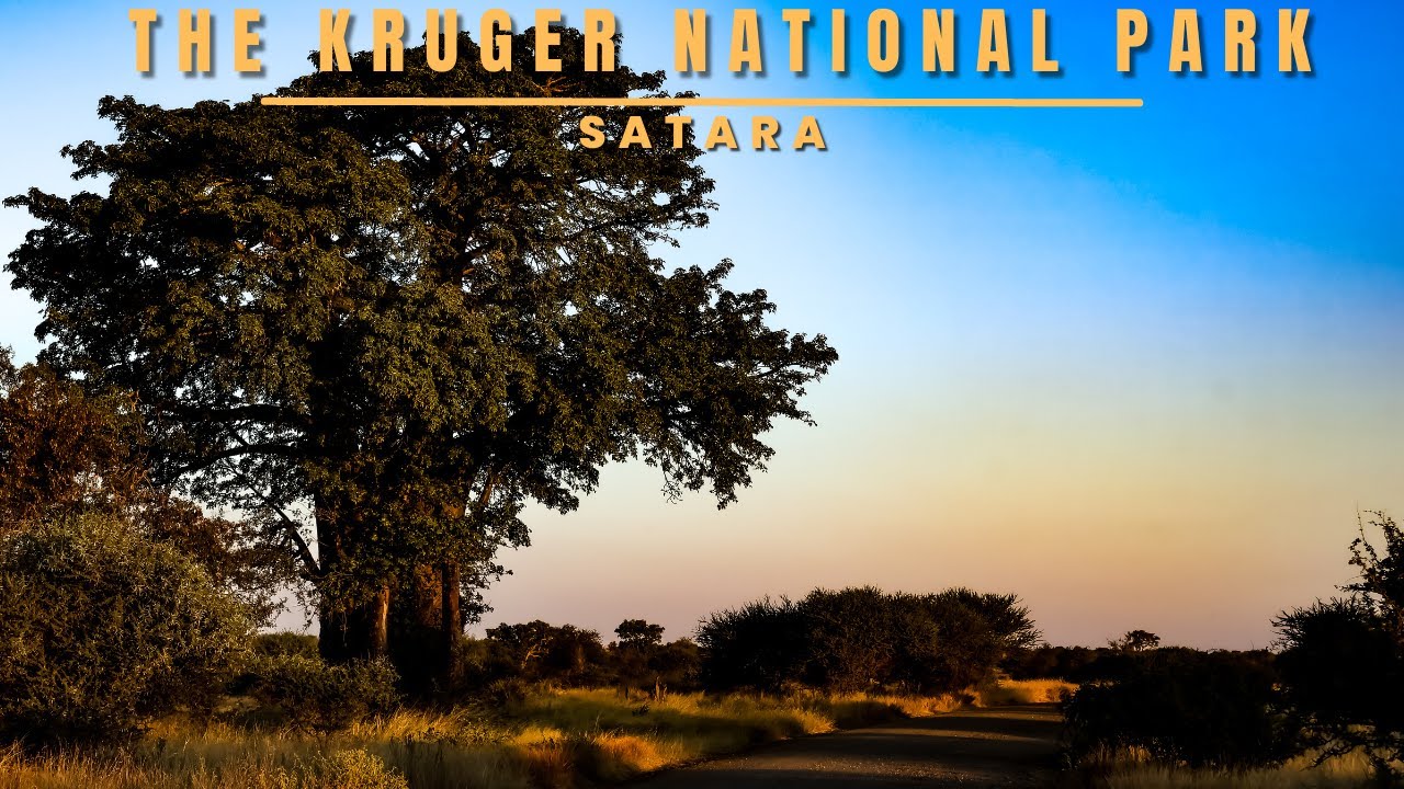 The Kruger National Park Satara Rest Camp Episode 2 Youtube
