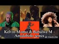Kelvin Momo And Babalwa M Amalobolo Ft Stixx And Nia Pearl Official ...