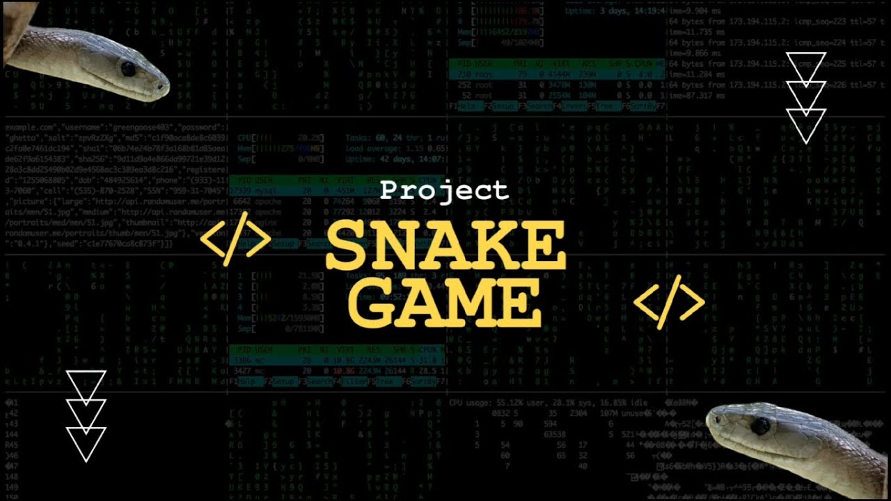 Snake Game Oop Java Program Youtube