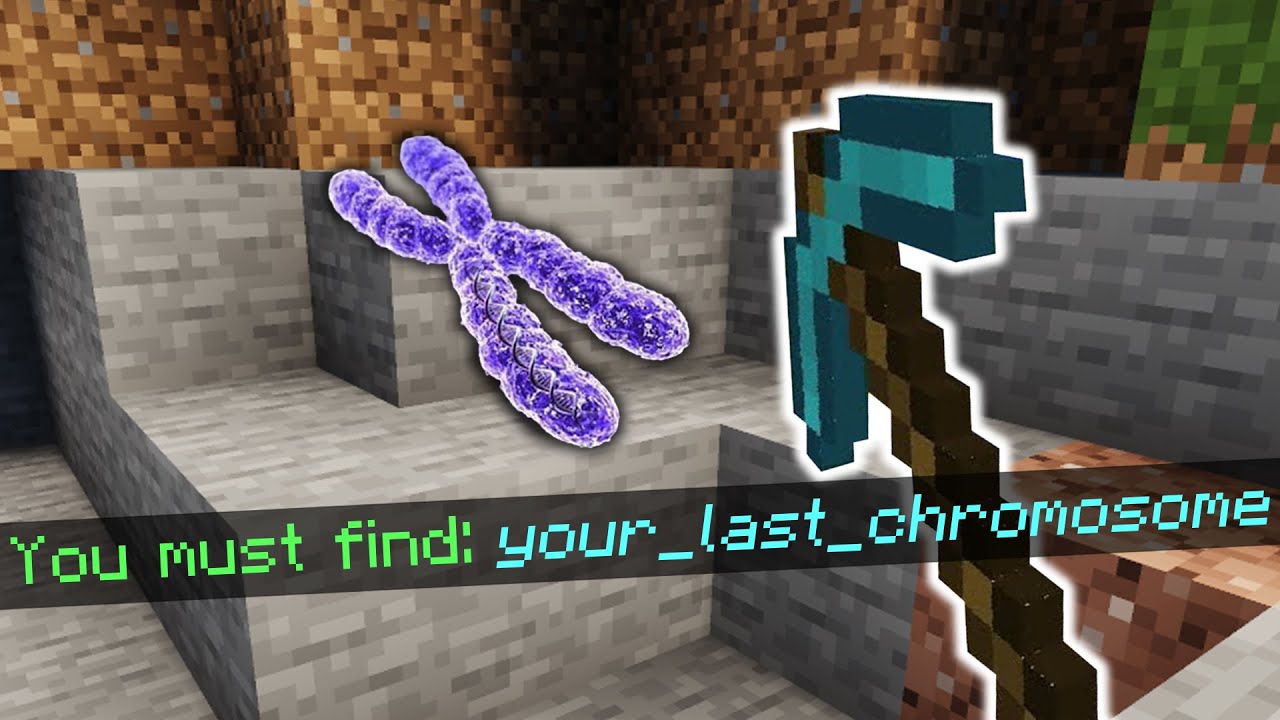 Trying To Find Things That Don T Exist In Minecraft Random Item Hunt