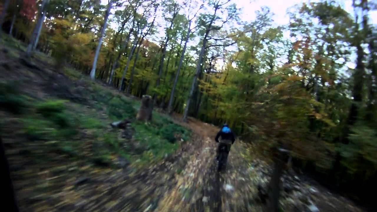 Freeride Youtube