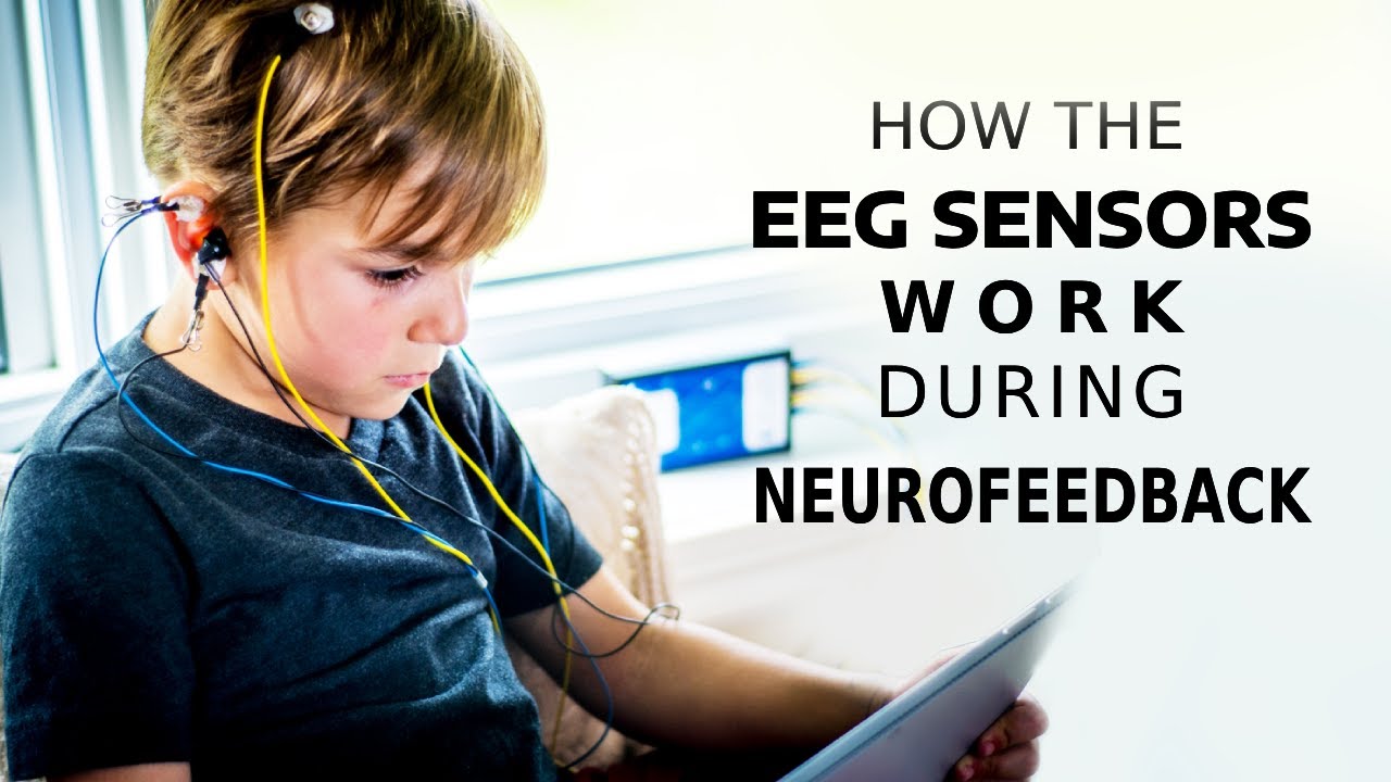 Neurofeedback Q A How The Eeg Sensors Work During A Neuroptimal