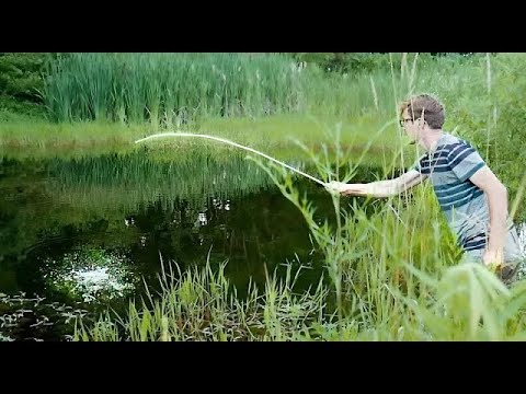 Survival Fishing Challenge Youtube