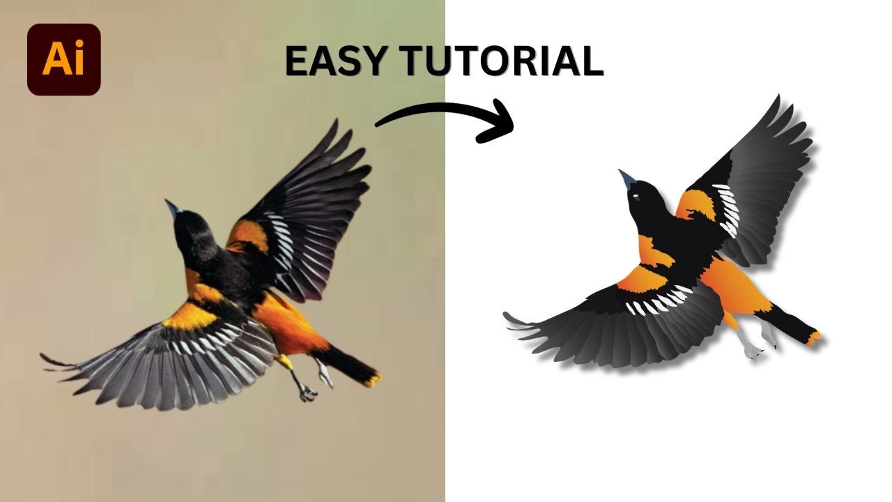 Adobe Illustrator Tutorial How To Create Oriole Bird Vector