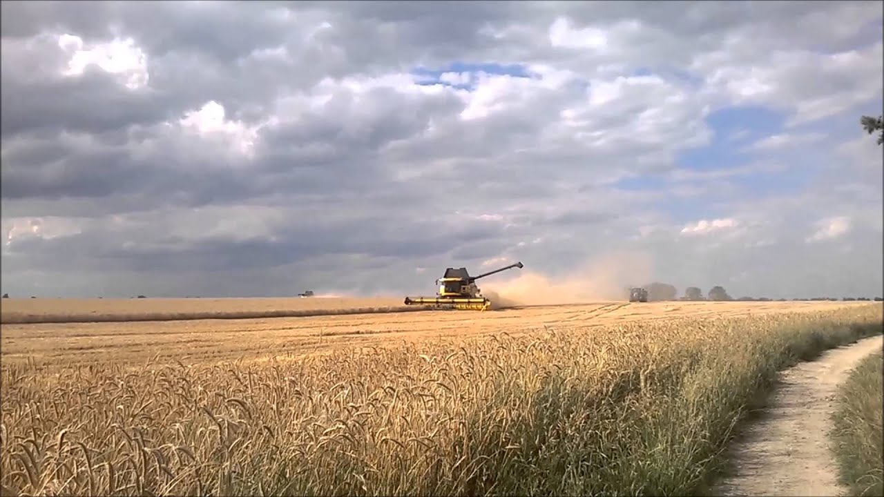 Raitech żniwa 2015 Youtube