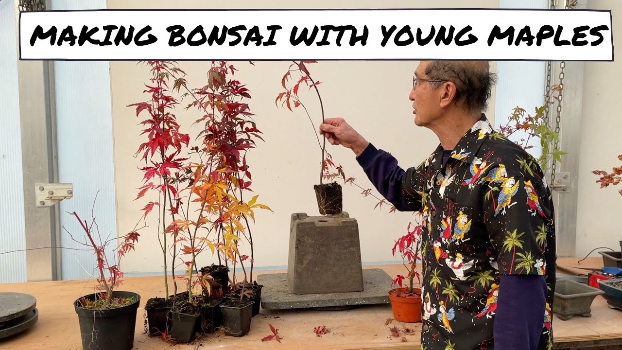 Projects With Young Maples Youtube