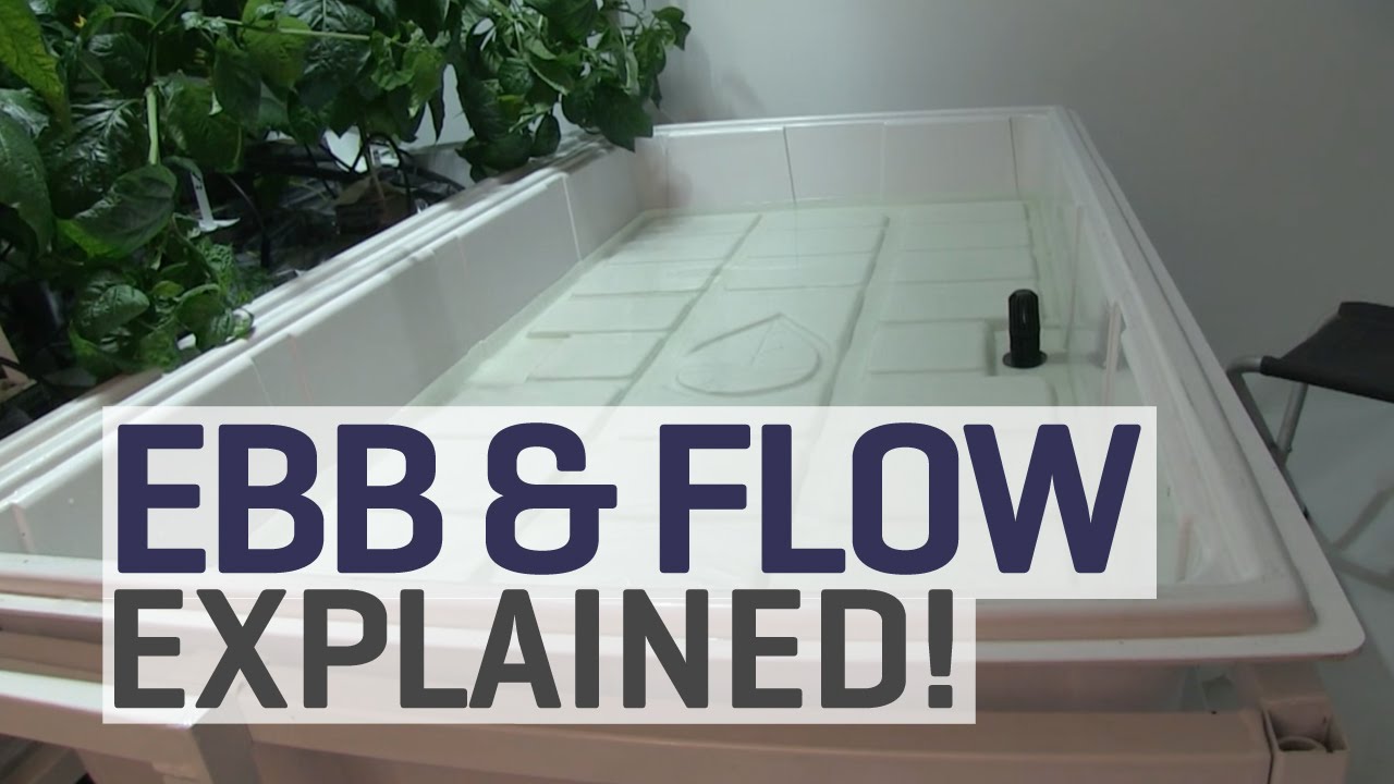 Ebb And Flow Hydroponics