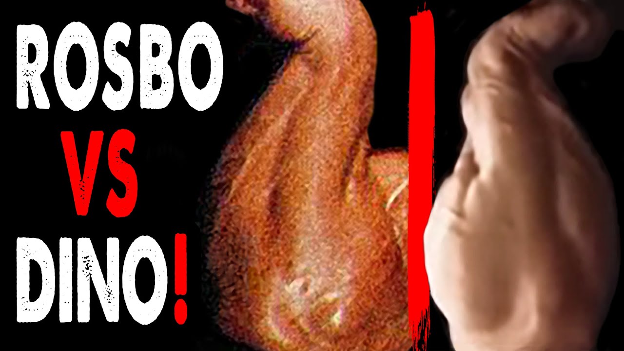 Gunnar Rosbo Vs Ramon Dino Forearms Youtube