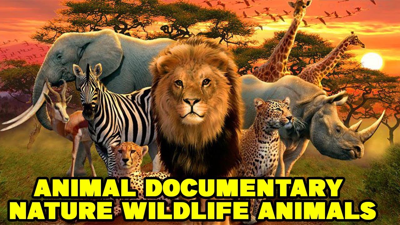 Animal Planet Wild Amazon Documentary
