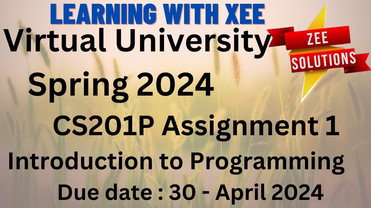 Cs201p Introduction To Programming Assignment 1 Spring 2024 Virtual