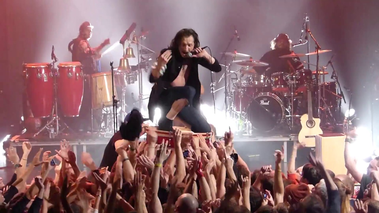 Gogol Bordello Live