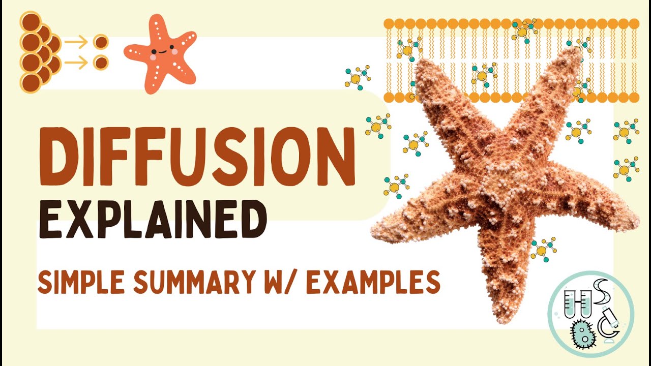 Simply Explained Diffusion Youtube