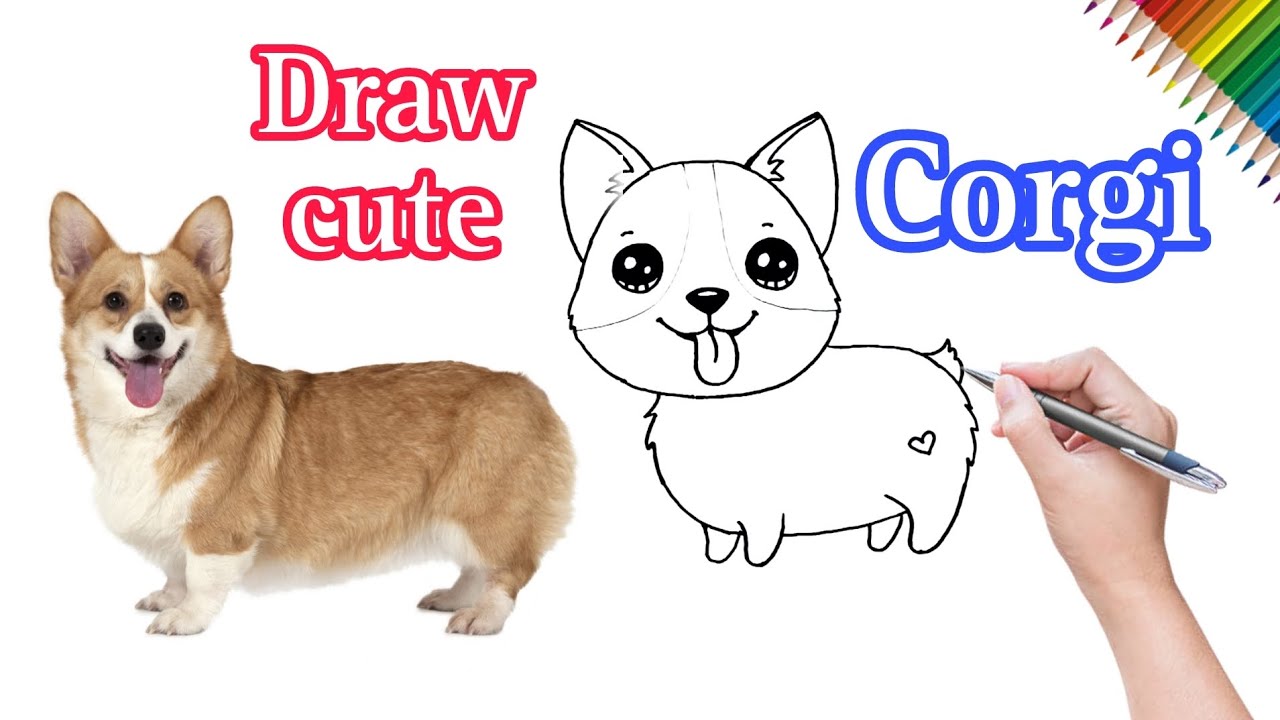 How To Draw A Cute Corgi Dog Clipart To Draw Step By Step Dl Cute