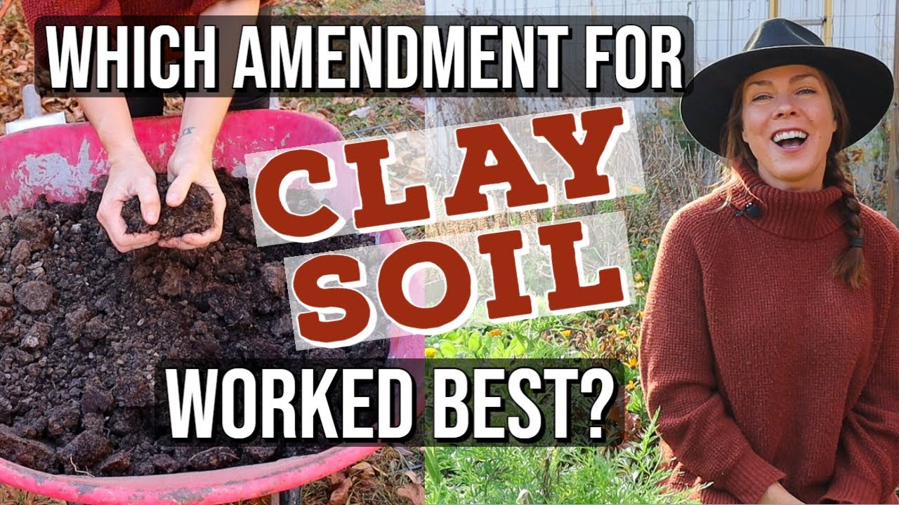 Which Clay Soil Amendment Is Best Part 2 Youtube