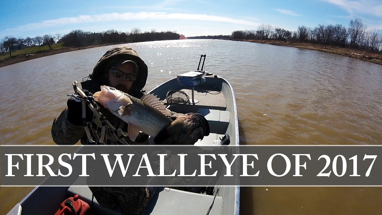 First Walleye Of 2017 Maumee River Walleye Run Youtube