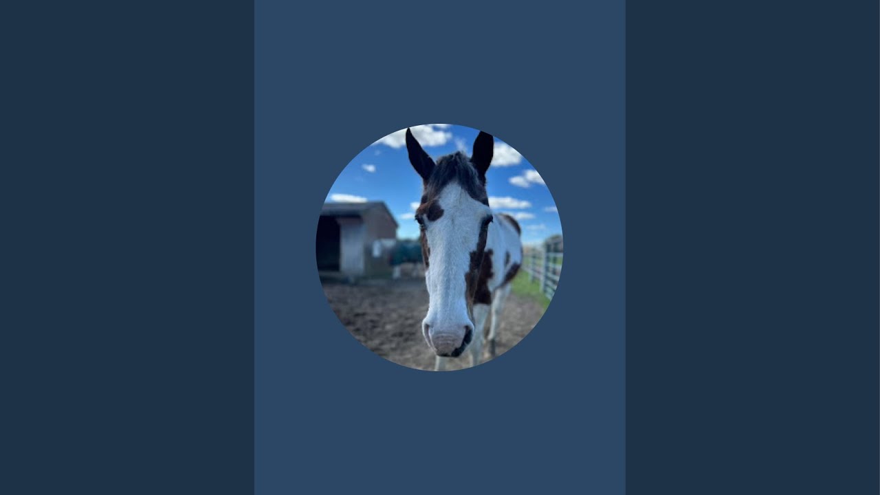 Writing Names Youtube