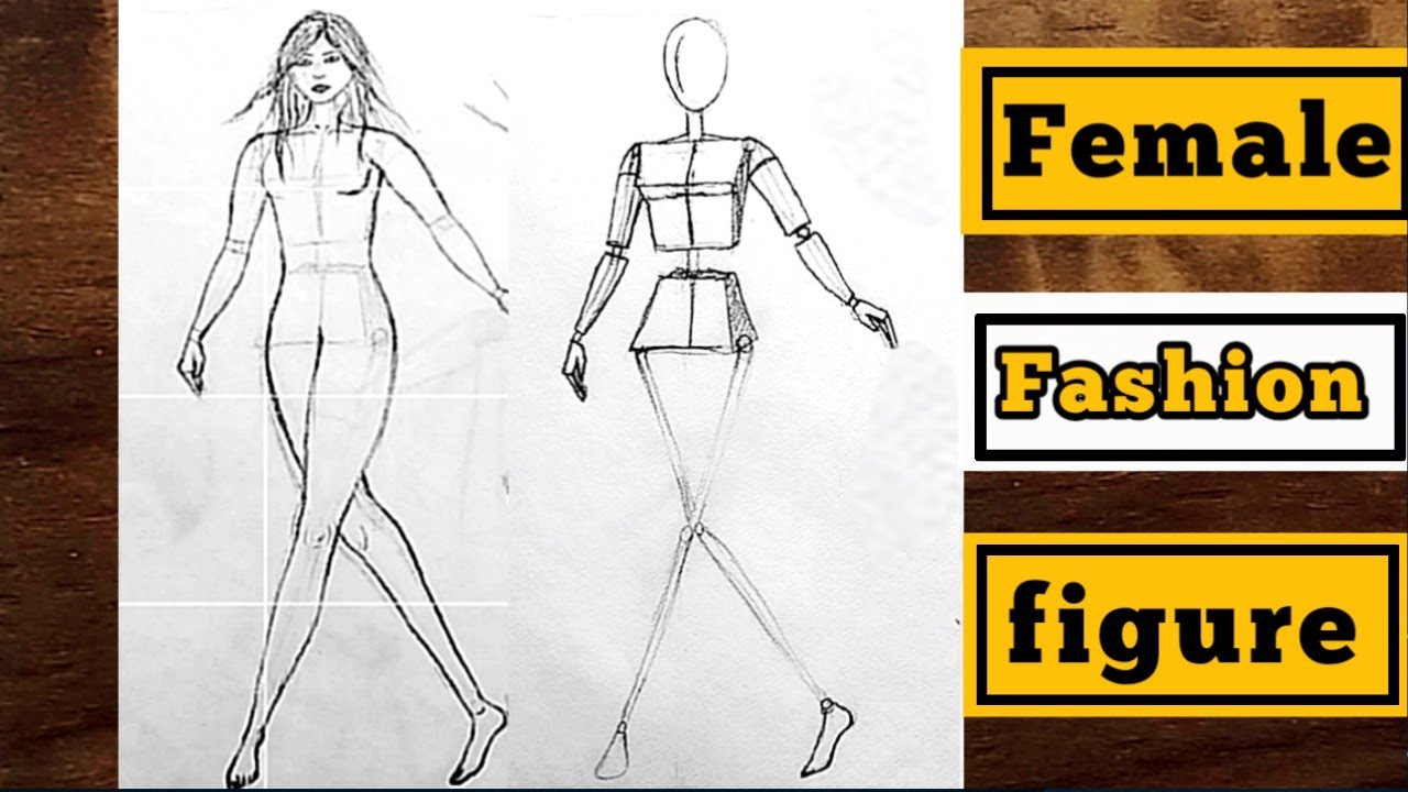 How To Draw Female Anatomy Female Body Tutorial Youtube