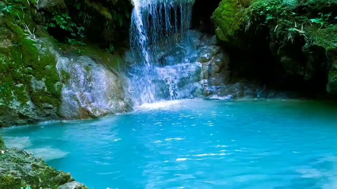 Asmr Birds Singing Water Sounds Forest Ambience Youtube