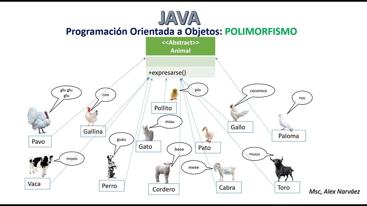 Programación Orientada A Objetos En Java 4 Polimorfismo Y Clases