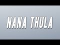 Nana Thula Kabza De Small Mp3 Music & Mp4 video downloads