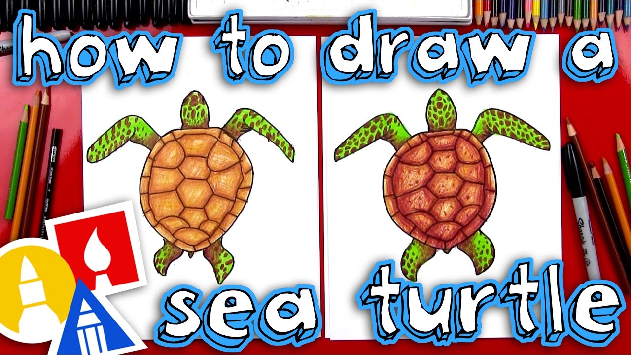 How To Draw A Realistic Sea Turtle Youtube