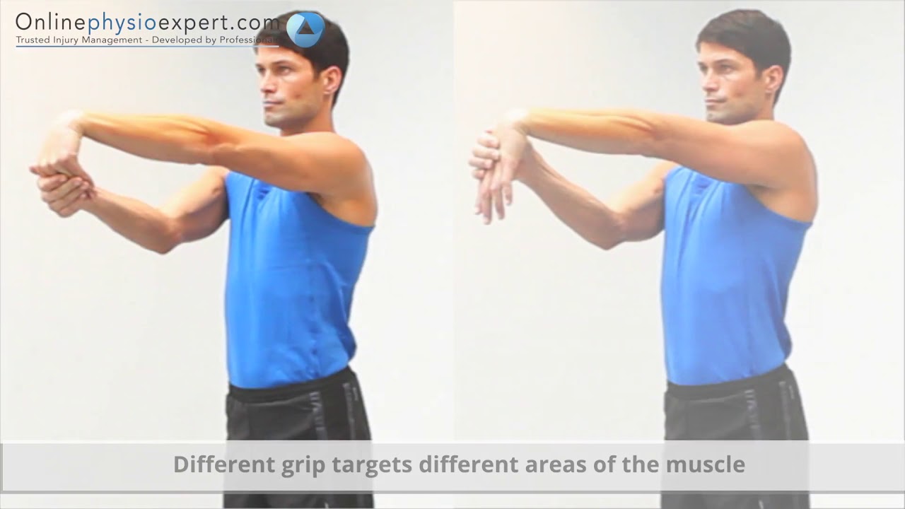 Forearm Extensor Muscle Stretch L Youtube