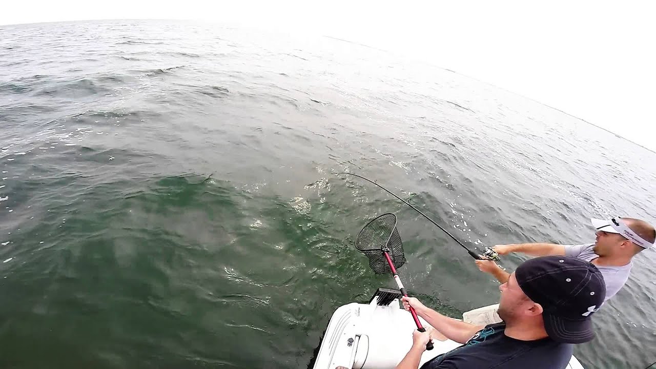 Longpoint Fishing Youtube