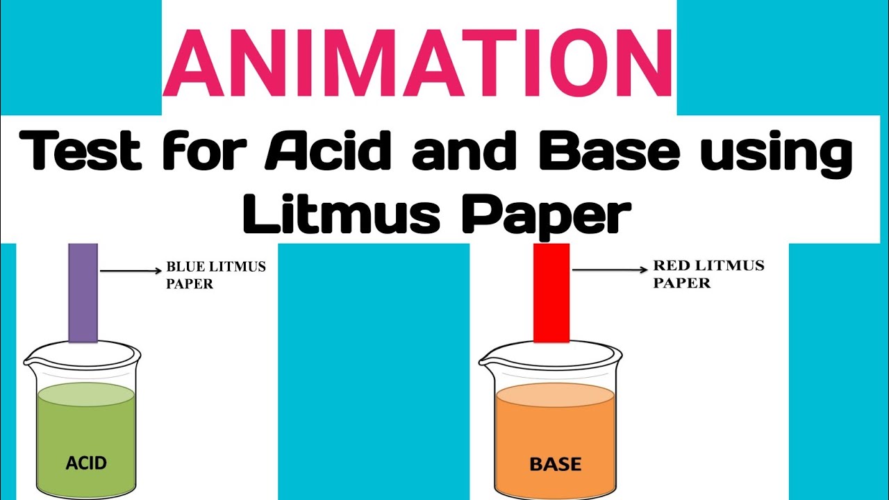 Litmus Paper Test Important Acid Base Indicator 46 Off