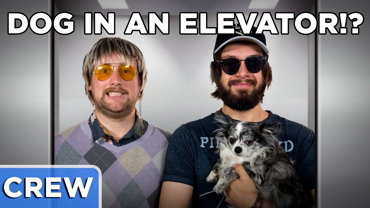 Breaking Dumb Laws Youtube