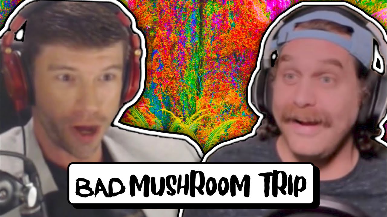 Kyle S Bad Mushroom Experience Pka Youtube