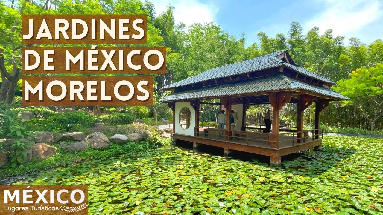 Jardines De México El Paraíso De Las Flores En Morelos En 4k Youtube