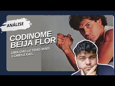 Codinome Beija Flor Análise Da Letra Youtube