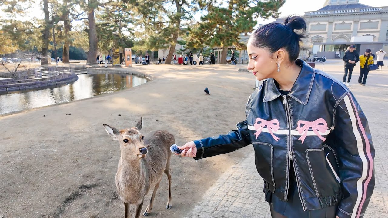 Interviewing Deer Youtube