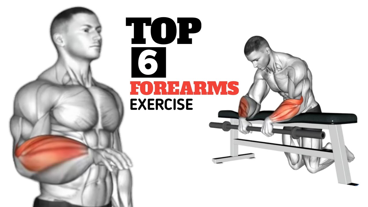 6 Effective Exercises To Grow Bigger Forearms Youtube