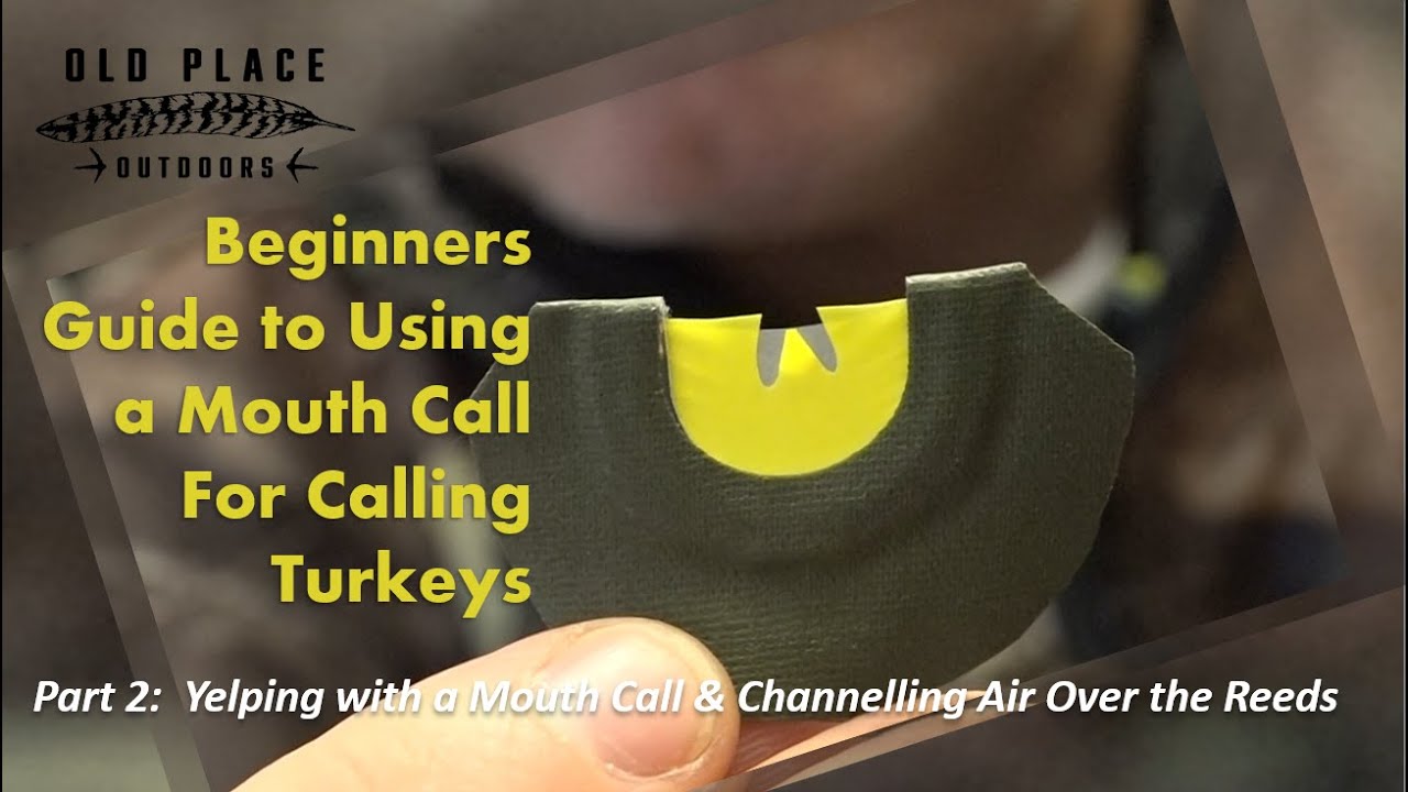 How To Learn A Turkey Mouth Call At Ida Wheeler Blog