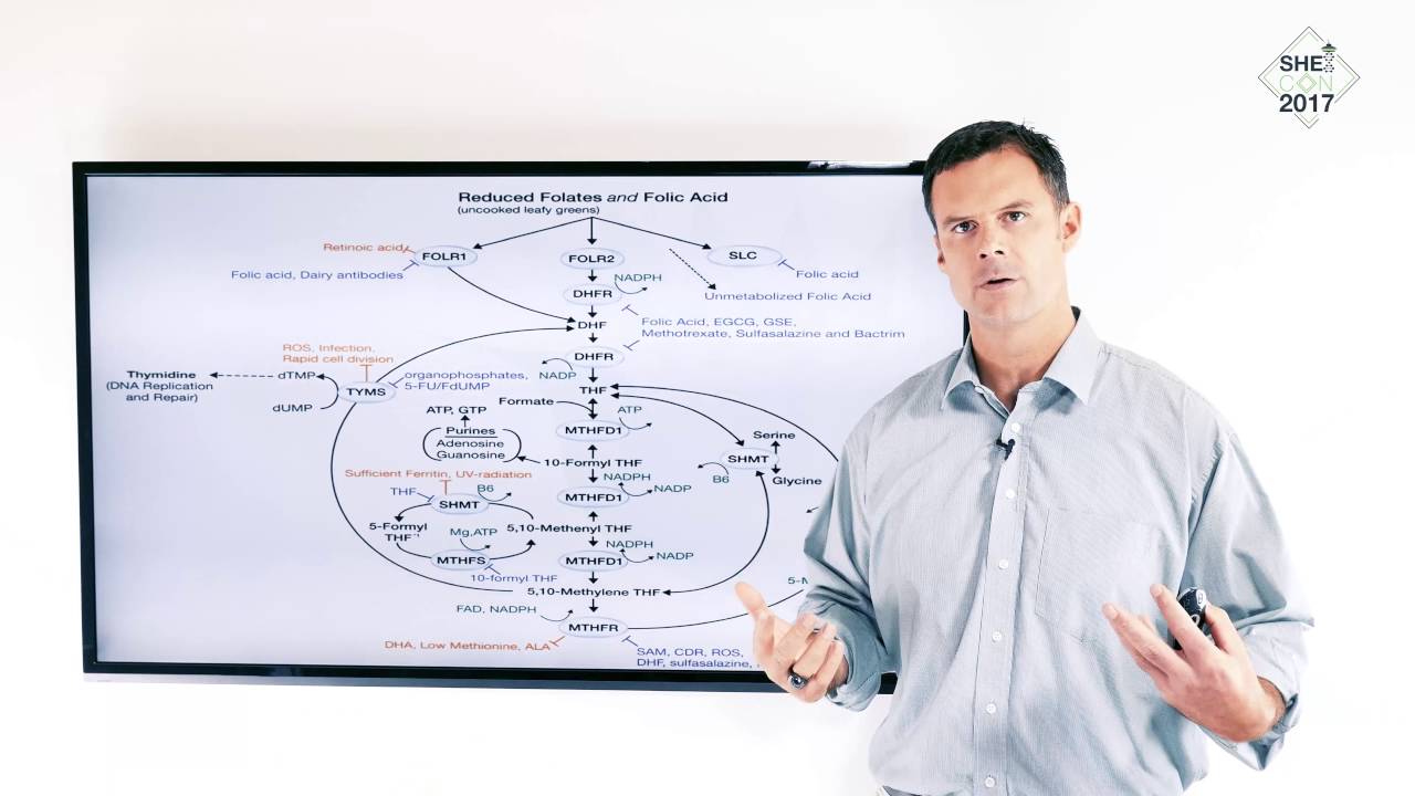 Pathway Planner Basics Youtube