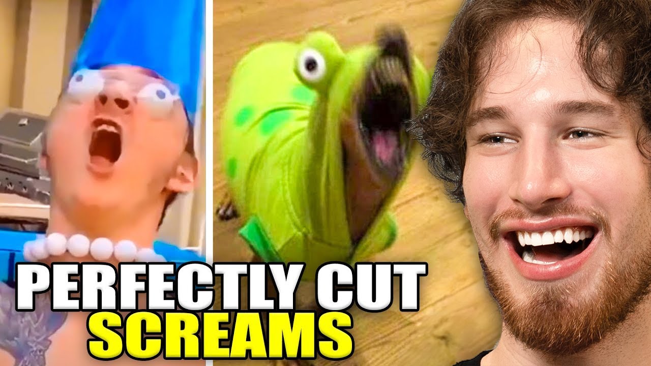 The Most Hilarious Perfectly Cut Screams Memes Youtube