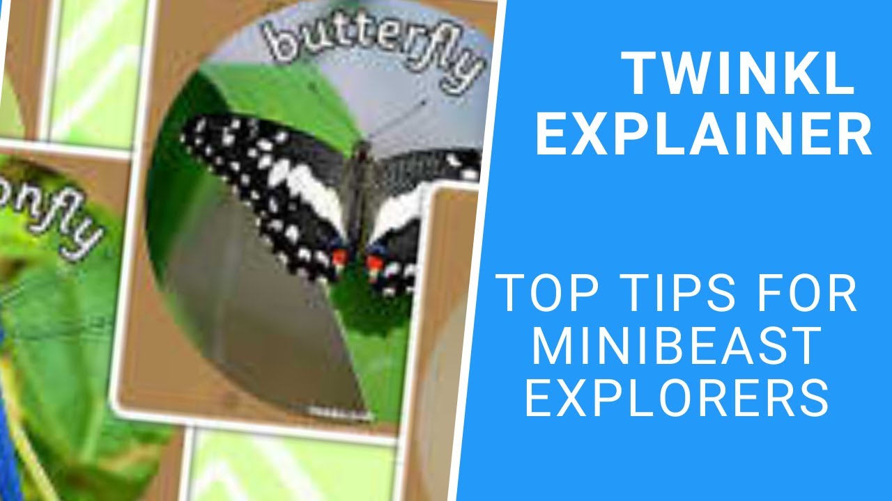 Top Tips For Minibeast Explorers Youtube