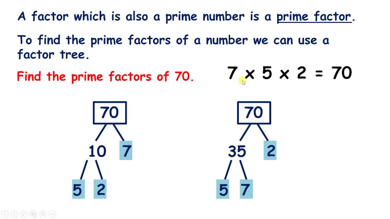 Worksheet Prime Factorization Tree Worksheet Worksheet Fun Worksheet