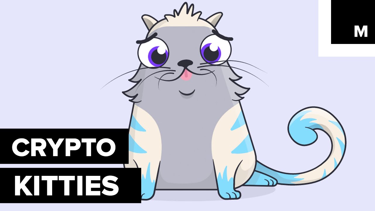 What S The Deal With Cryptokitties Youtube