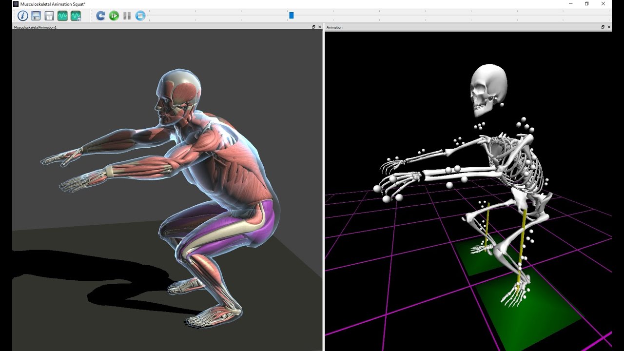 The Motionmonitor For Biomechanists Youtube