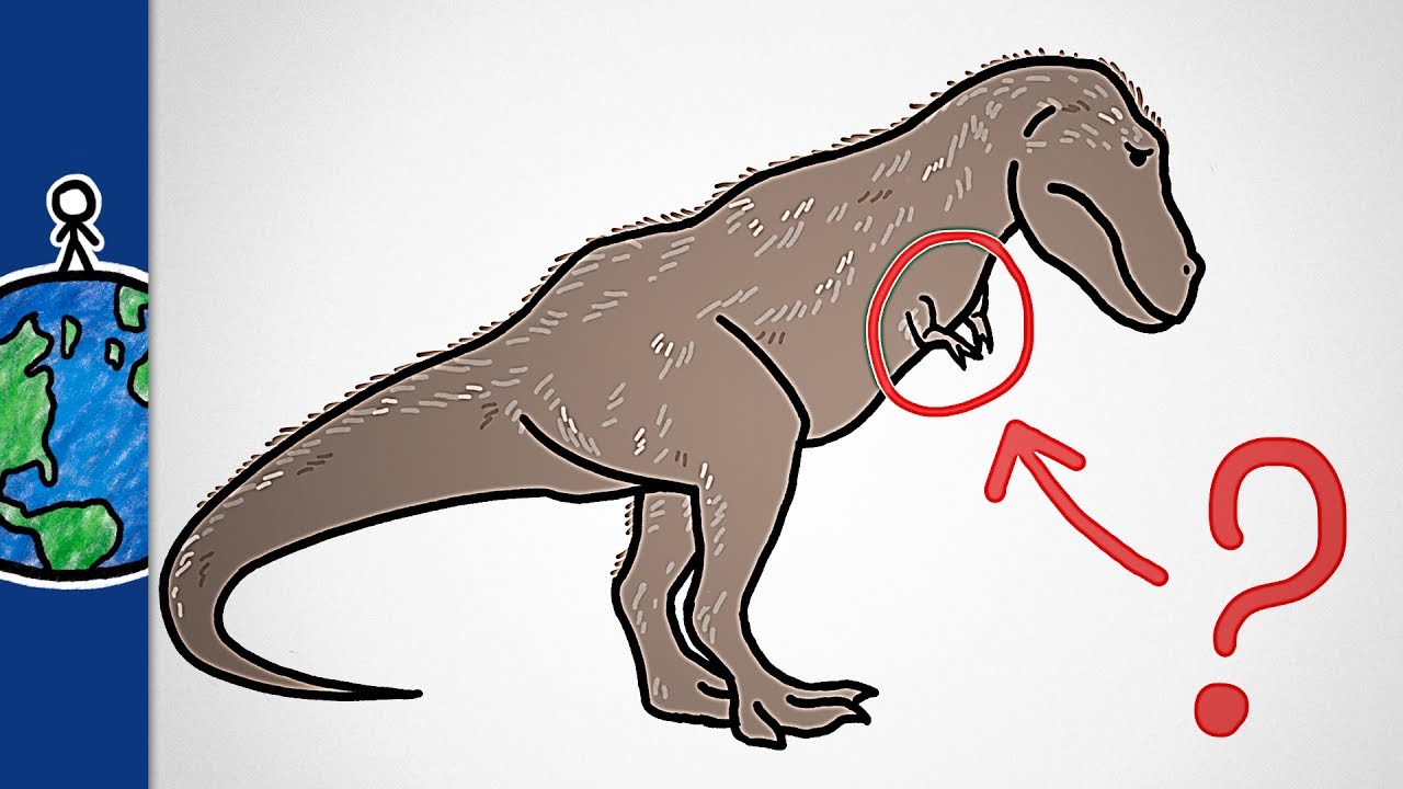 Why Did T Rex Have Such Tiny Arms Youtube