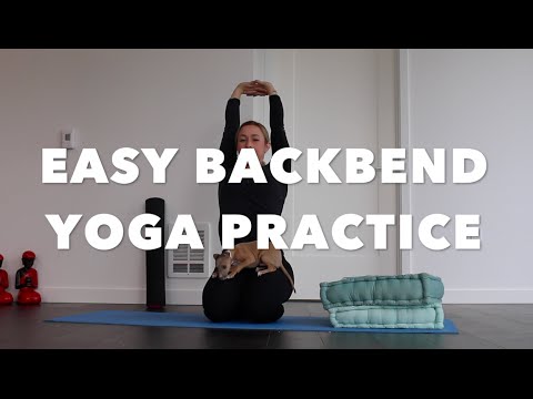 20 Minute Easy Backbend Yoga Practice Youtube