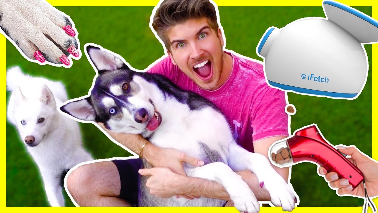 Testing Weird Puppy Gadgets Youtube