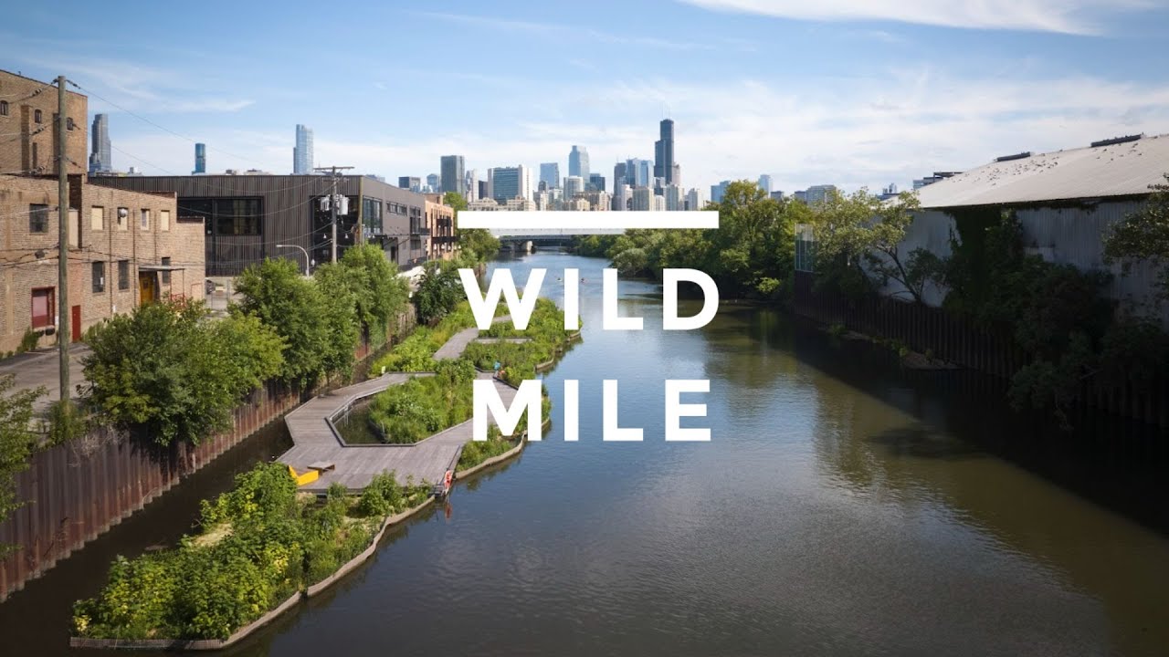 The Wild Mile 2024 Progress Youtube