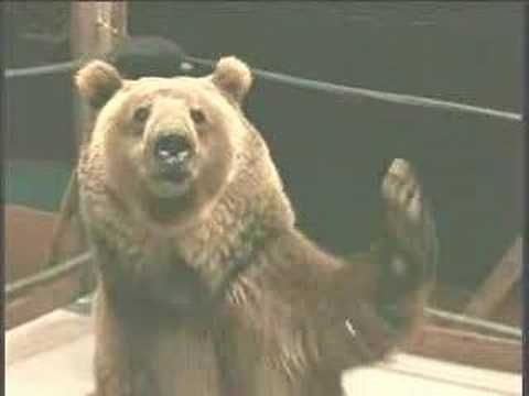 Semi Pro The Full Bear Wrestling Scene Youtube